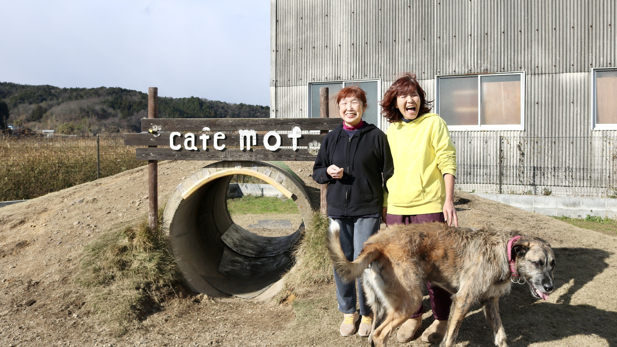 ワンコと人の笑顔があふれるドッグランカフェ！「cafe mof」を取材しました｜まち肌屋